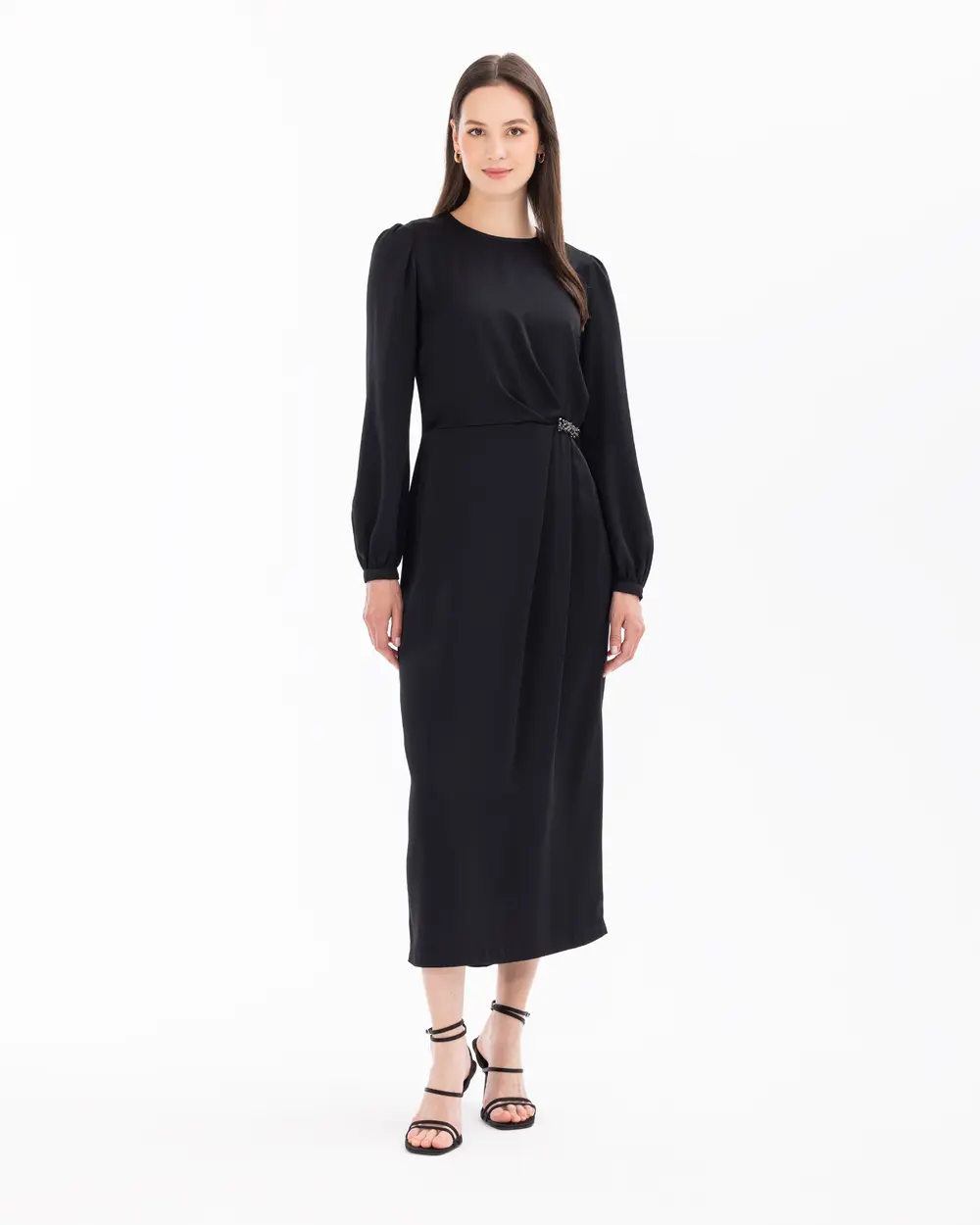 Pleated Long Sleeve Elegant Dress Secilstore